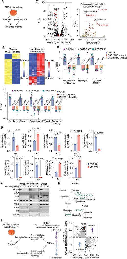Clinical Efficacy of ONC201 in H3K27M-Mutant Diffuse Midline Gliomas Is ...