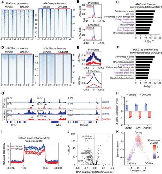 Clinical Efficacy of ONC201 in H3K27M-Mutant Diffuse Midline Gliomas Is ...
