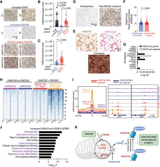 Clinical Efficacy of ONC201 in H3K27M-Mutant Diffuse Midline Gliomas Is ...