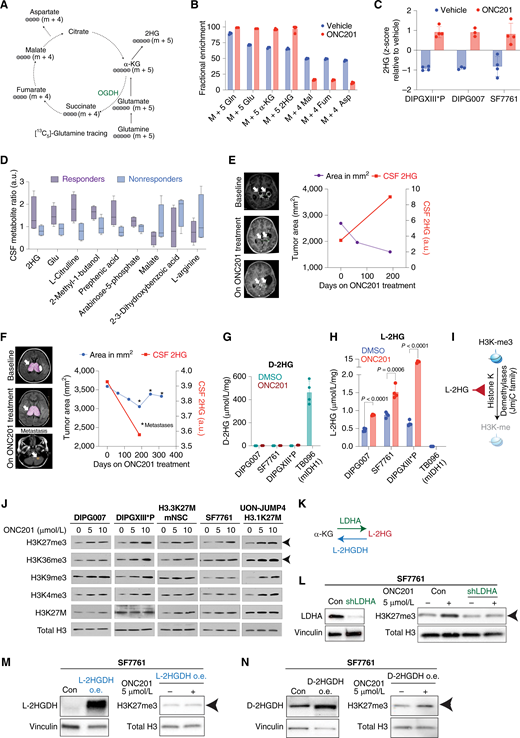 Clinical Efficacy of ONC201 in H3K27M-Mutant Diffuse Midline Gliomas Is ...