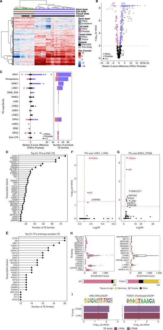 Transposable Elements Are Co Opted As Oncogenic Regulatory Elements By Lineage Specific