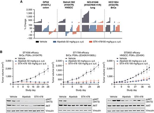 STX-478, a Mutant-Selective, Allosteric PI3Kα Inhibitor Spares ...