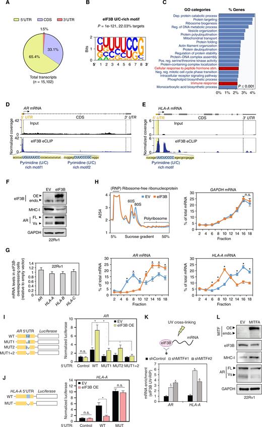 Master Transcription Factor Reprogramming Unleashes Selective ...