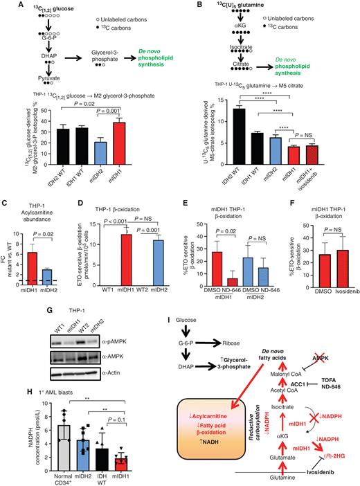 Dysregulated Lipid Synthesis by Oncogenic IDH1 Mutation Is a Targetable ...