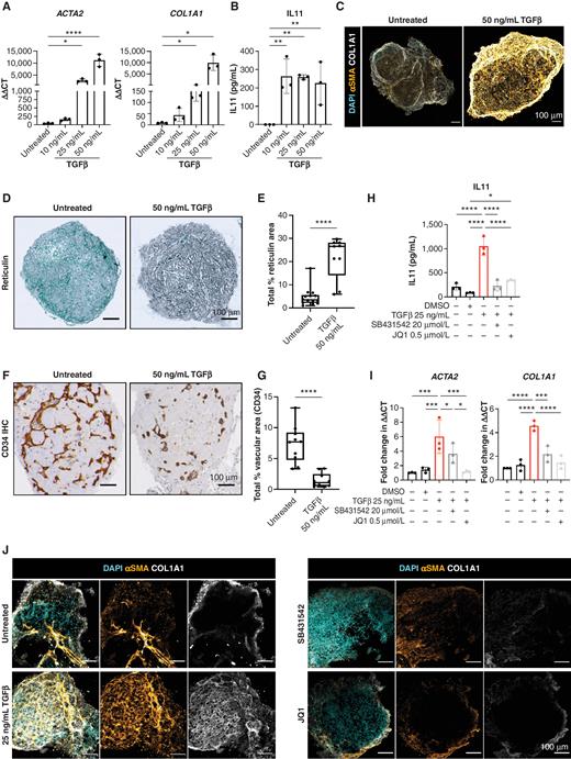 Human Bone Marrow Organoids for Disease Modeling, Discovery, and ...