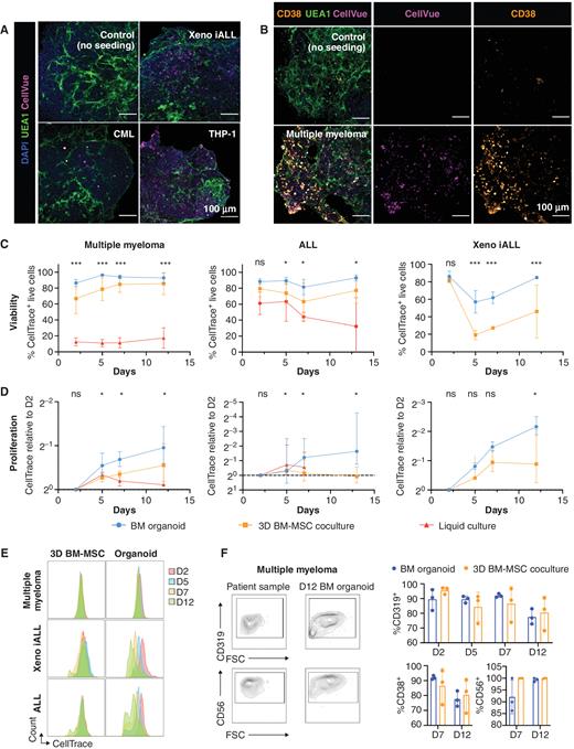 Human Bone Marrow Organoids for Disease Modeling, Discovery, and ...