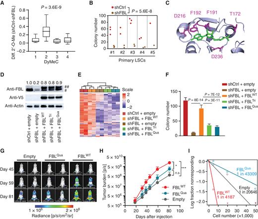 A Dynamic rRNA Ribomethylome Drives Stemness in Acute Myeloid Leukemia ...