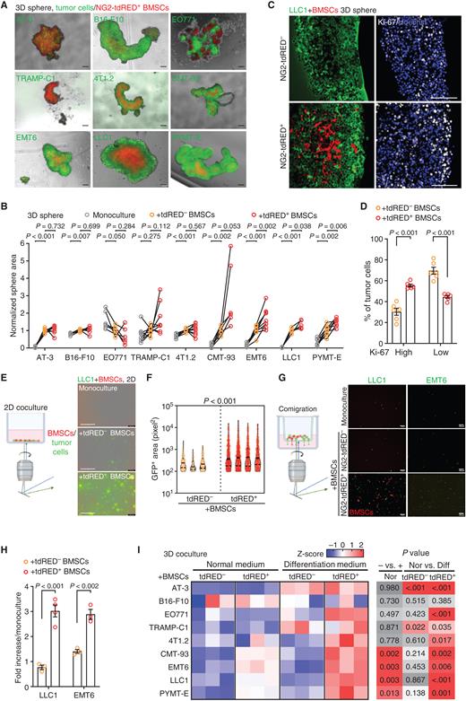 Bone Metastasis Initiation Is Coupled with Bone Remodeling through ...