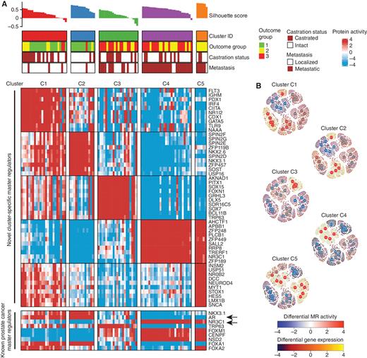 OncoLoop: A Network-Based Precision Cancer Medicine Framework | Cancer ...