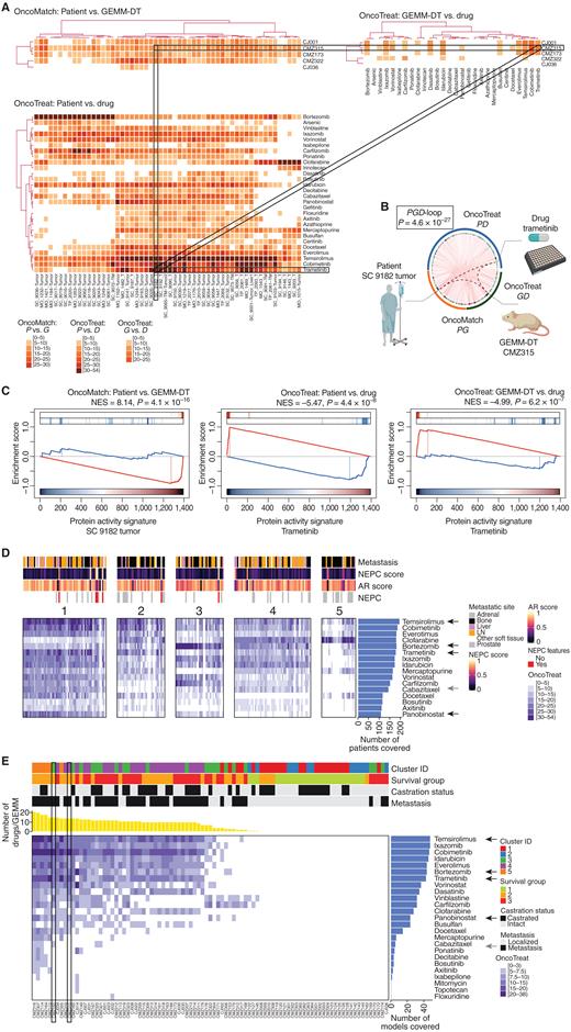 OncoLoop: A Network-Based Precision Cancer Medicine Framework | Cancer Discovery | American ...