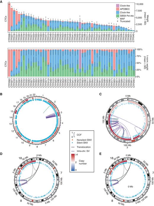 MinimuMM-seq: Genome Sequencing of Circulating Tumor Cells for ...