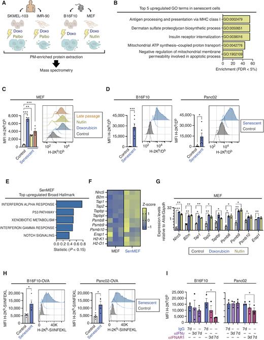 Cellular Senescence Is Immunogenic and Promotes Antitumor Immunity ...