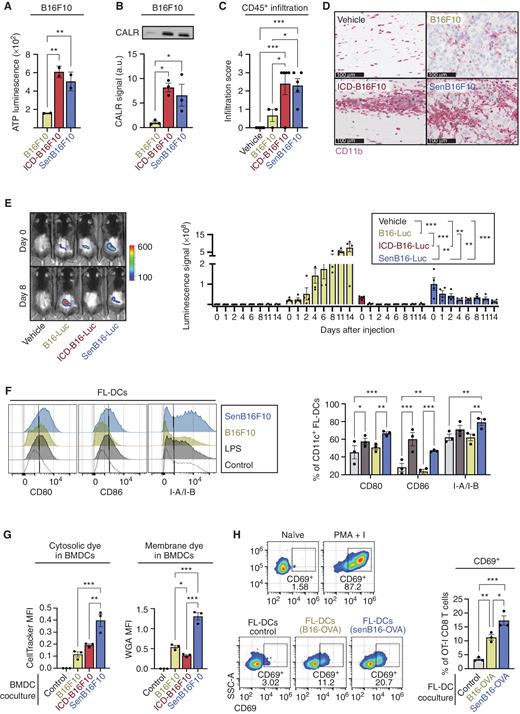 Cellular Senescence Is Immunogenic and Promotes Antitumor Immunity ...