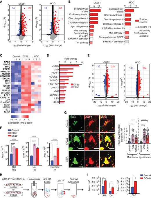 Targeting UGCG Overcomes Resistance to Lysosomal Autophagy Inhibition ...
