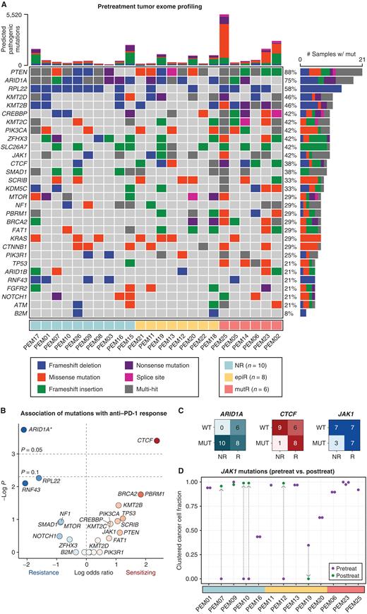 Distinct Mechanisms of Mismatch-Repair Deficiency Delineate Two Modes ...