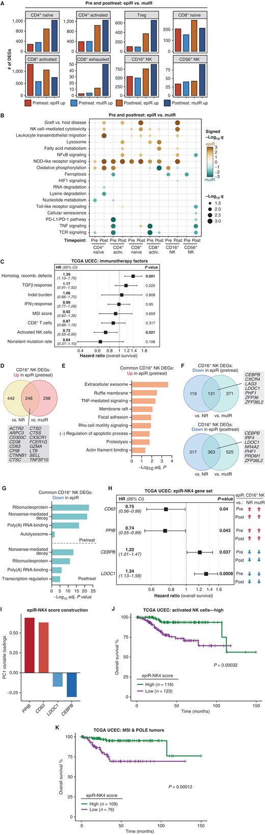 Distinct Mechanisms of Mismatch-Repair Deficiency Delineate Two Modes ...