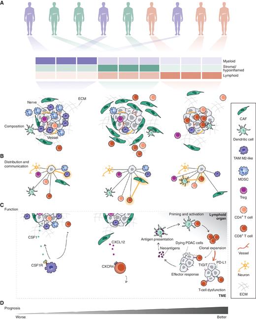 Context-Specific Determinants of the Immunosuppressive Tumor ...