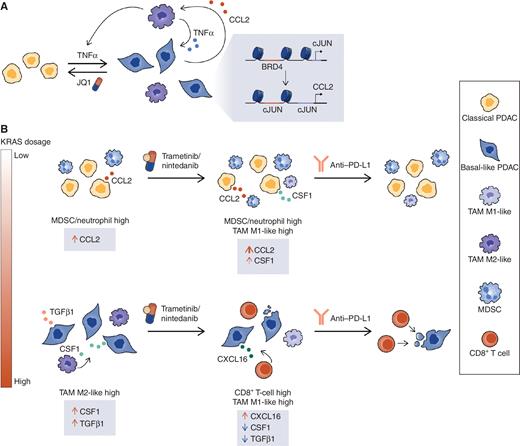 Context-Specific Determinants of the Immunosuppressive Tumor ...