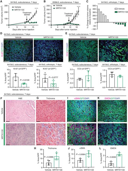 Efficacy of a Small-Molecule Inhibitor of KrasG12D in Immunocompetent ...