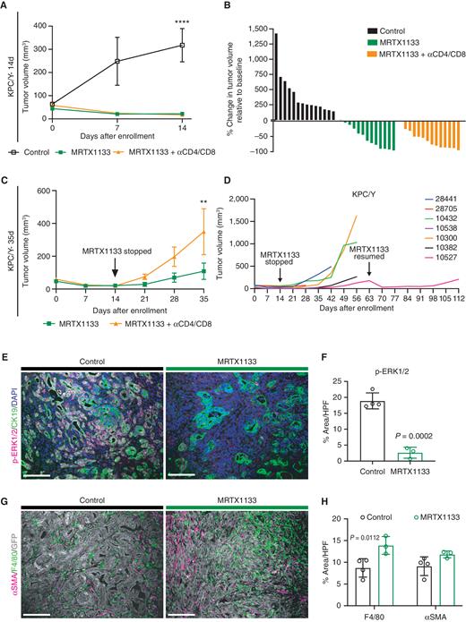 Efficacy of a Small-Molecule Inhibitor of KrasG12D in Immunocompetent ...