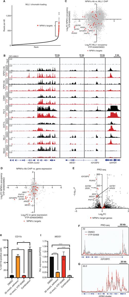 Mutant NPM1 Directly Regulates Oncogenic Transcription in Acute Myeloid ...