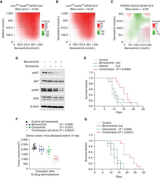 LZTR1 Mutation Mediates Oncogenesis through Stabilization of EGFR and ...
