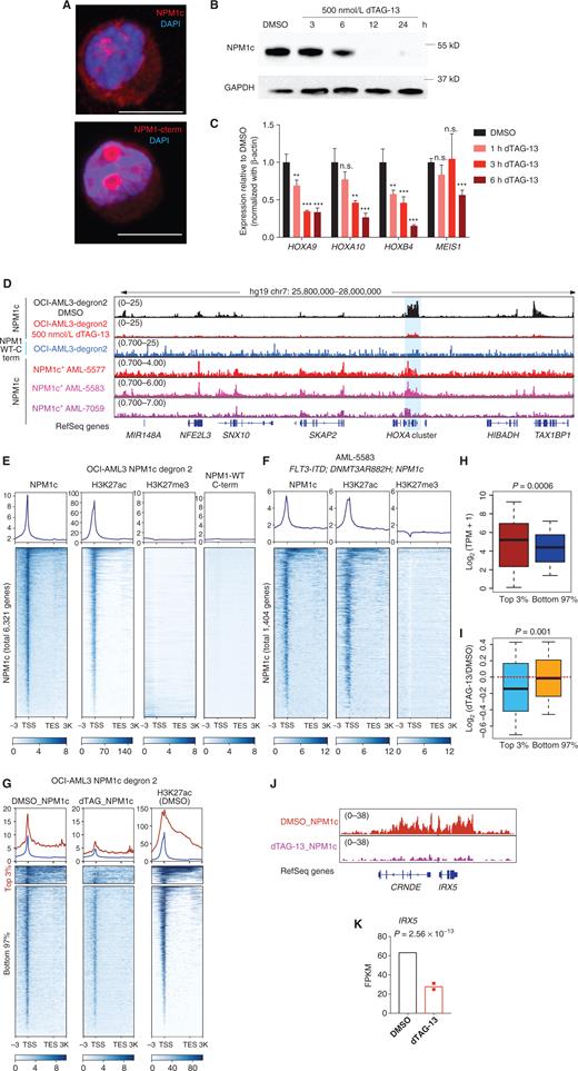 Mutant NPM1 Hijacks Transcriptional Hubs to Maintain Pathogenic Gene ...