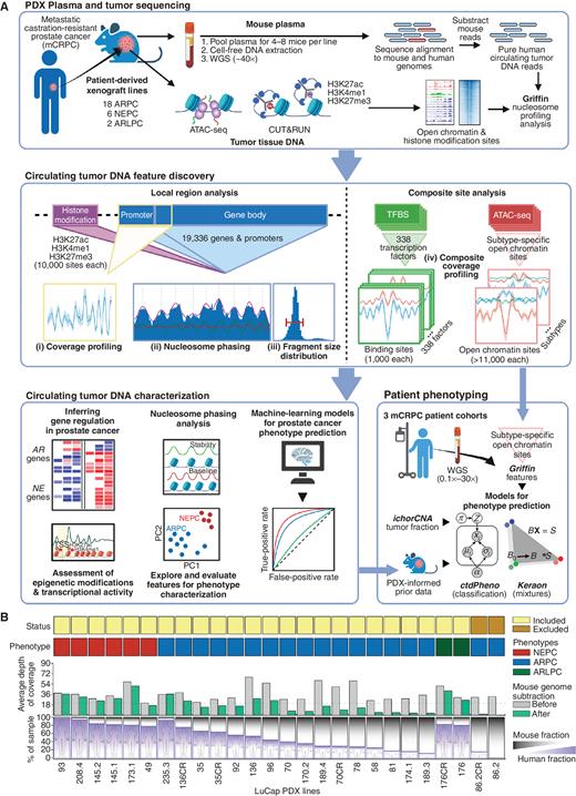 Nucleosome Patterns in Circulating Tumor DNA Reveal Transcriptional Regulation of Advanced ...