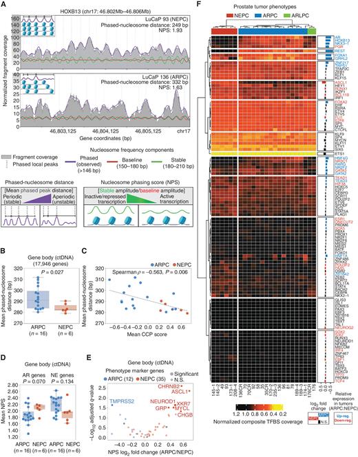 Nucleosome Patterns in Circulating Tumor DNA Reveal Transcriptional ...