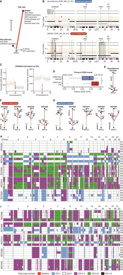 Genomic Patterns of Malignant Peripheral Nerve Sheath Tumor (MPNST ...