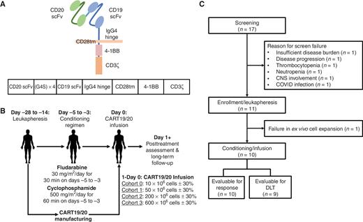 CD19/CD20 Bispecific Chimeric Antigen Receptor (CAR) in Naive/Memory T ...