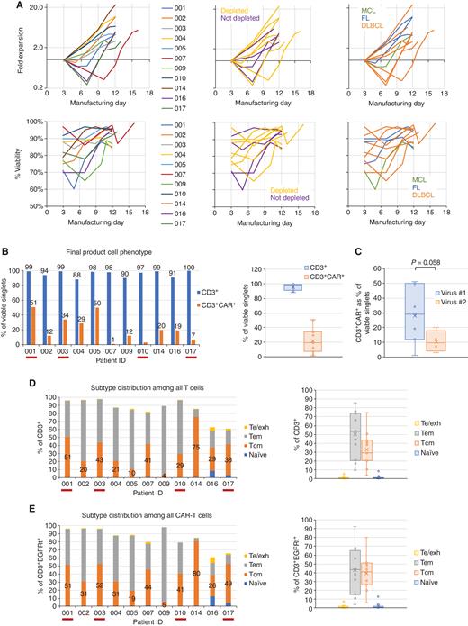 CD19/CD20 Bispecific Chimeric Antigen Receptor (CAR) in Naive/Memory T ...