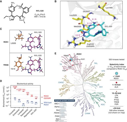 NVL-520 Is a Selective, TRK-Sparing, and Brain-Penetrant Inhibitor of ...