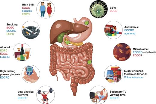 Early-Onset Cancer in the Gastrointestinal Tract Is on the Rise ...