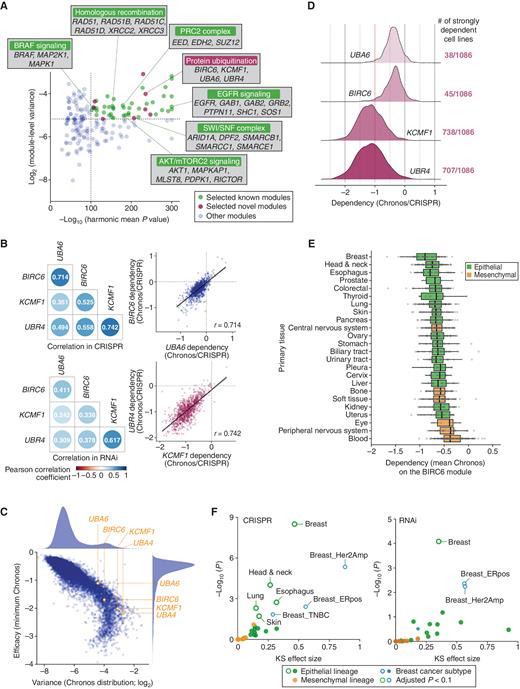 A Ubiquitination Cascade Regulating the Integrated Stress Response and ...