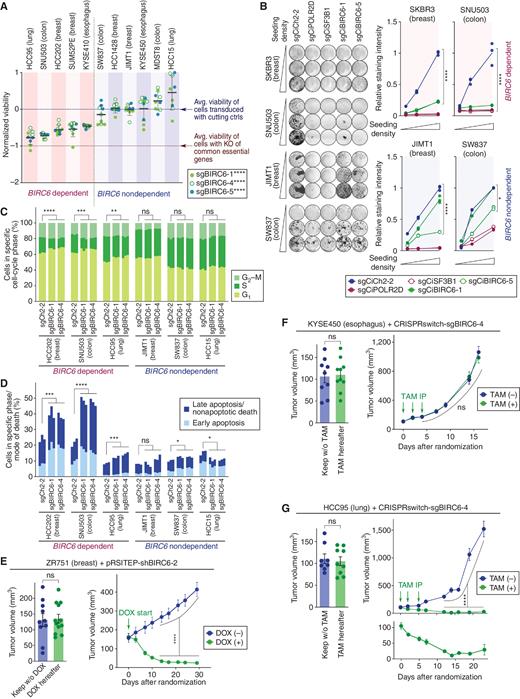 A Ubiquitination Cascade Regulating the Integrated Stress Response and ...