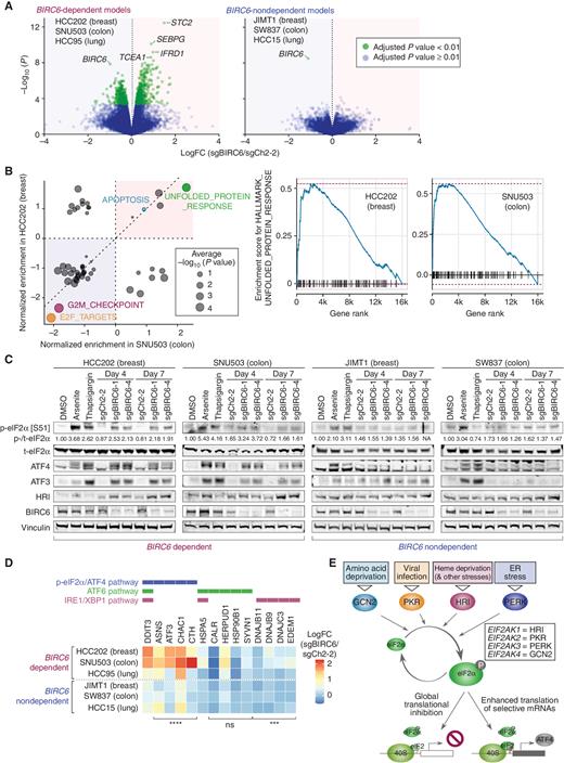 A Ubiquitination Cascade Regulating the Integrated Stress Response and ...