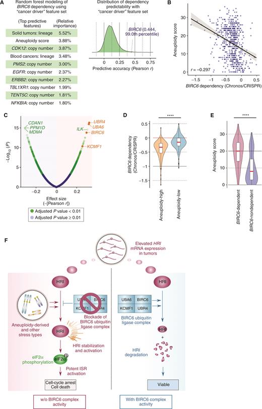 A Ubiquitination Cascade Regulating the Integrated Stress Response and ...