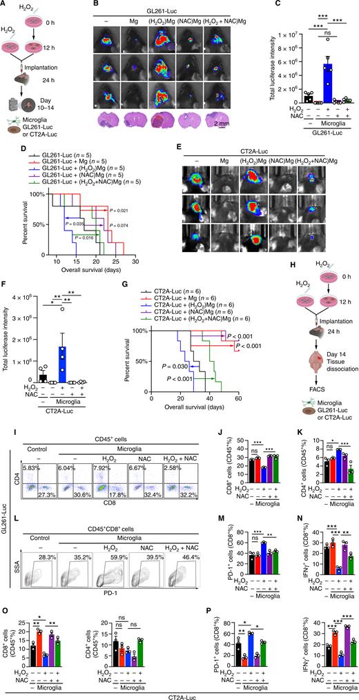 Targeting Microglial Metabolic Rewiring Synergizes with Immune ...