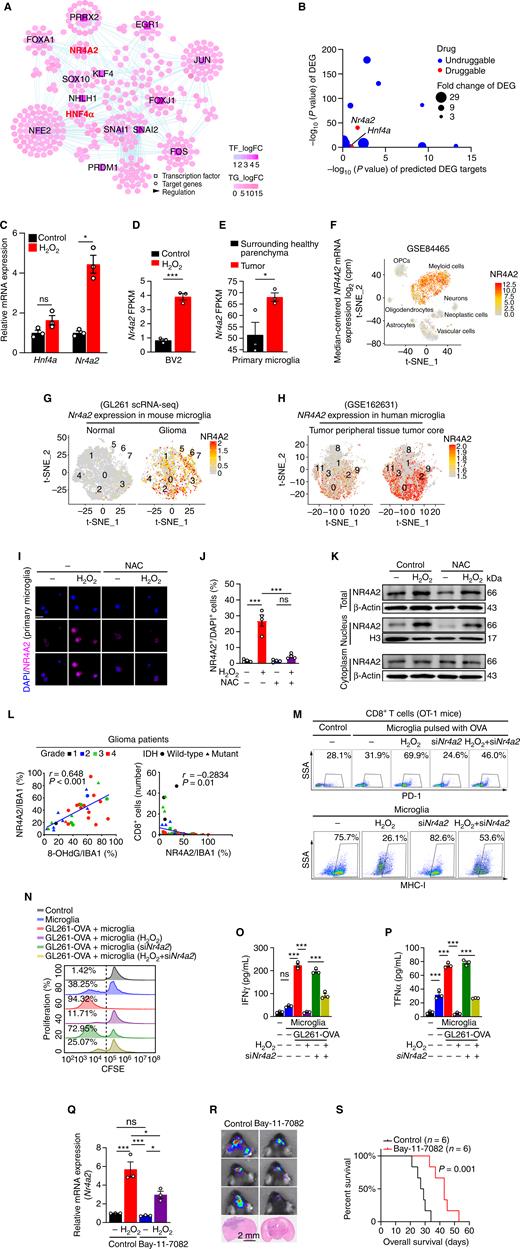 Targeting Microglial Metabolic Rewiring Synergizes with Immune ...