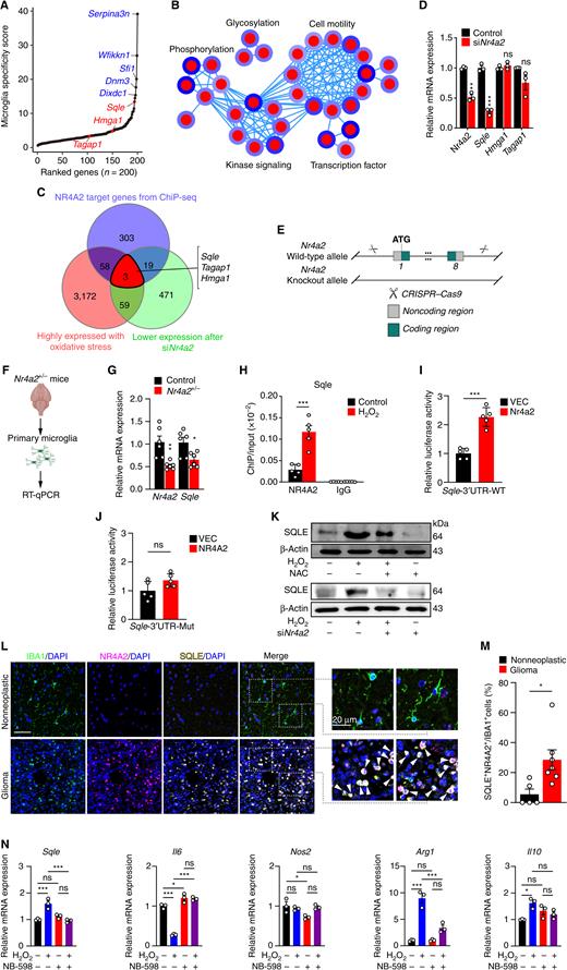 Targeting Microglial Metabolic Rewiring Synergizes with Immune ...