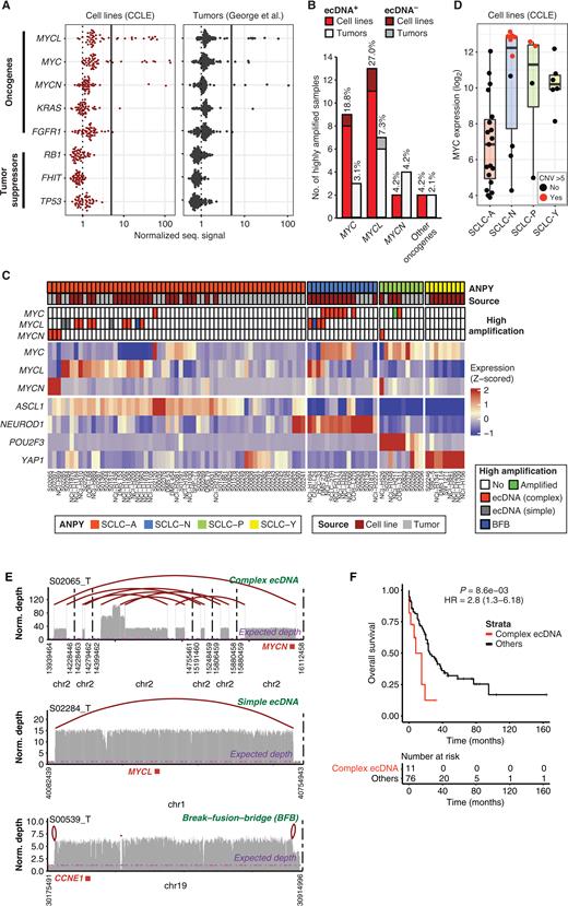 Extrachromosomal DNA Amplification Contributes to Small Cell Lung ...