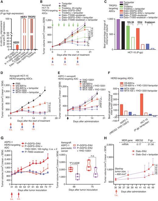 Antibody–Exatecan Conjugates with a Novel Self-immolative Moiety ...