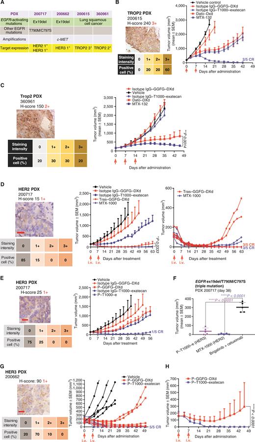 Antibody–Exatecan Conjugates with a Novel Self-immolative Moiety ...