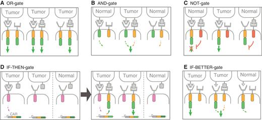 Programming CAR T Cell Tumor Recognition: Tuned Antigen Sensing and ...