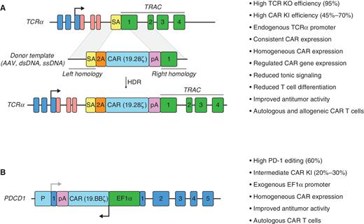 Programming CAR T Cell Tumor Recognition: Tuned Antigen Sensing and ...