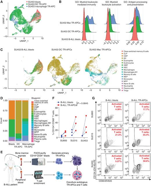 Reprogramming Cancer into Antigen-Presenting Cells as a Novel ...