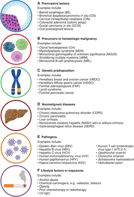 A View on Drug Development for Cancer Prevention | Cancer Discovery ...