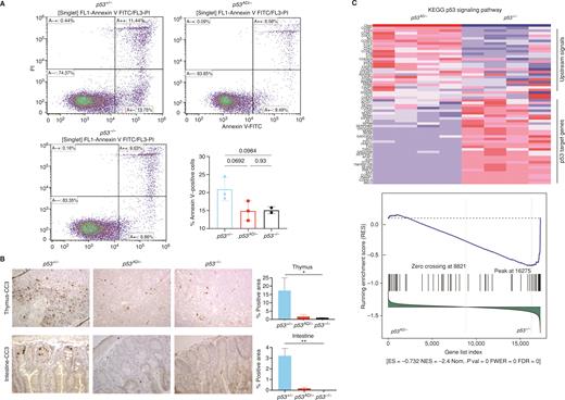 Dimeric p53 Mutant Elicits Unique Tumor-Suppressive Activities through ...