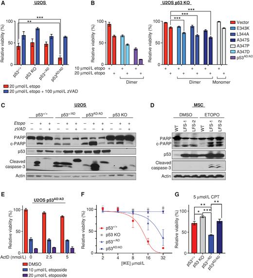 Li–Fraumeni Syndrome–Associated Dimer-Forming Mutant p53 Promotes ...